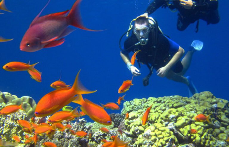 Scuba Diving in Hurghada Egypt - Red Sea Tours | Sola Travel