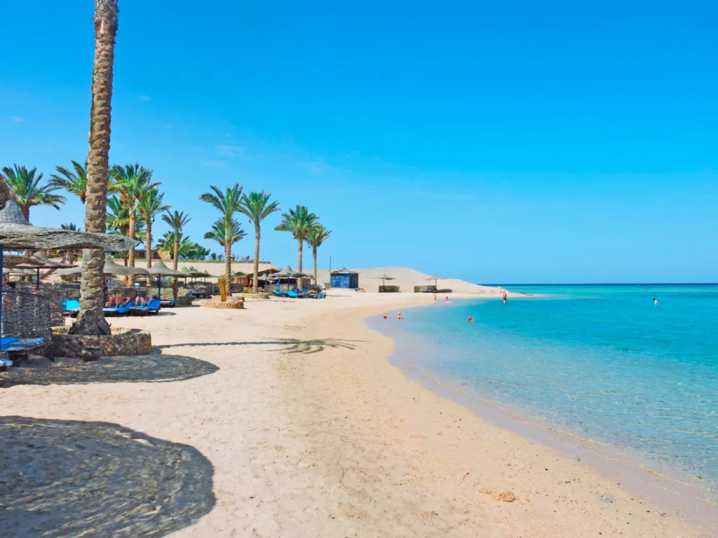 Elphistone Marsa Alam Escursioni | Diving and Tours 2025
