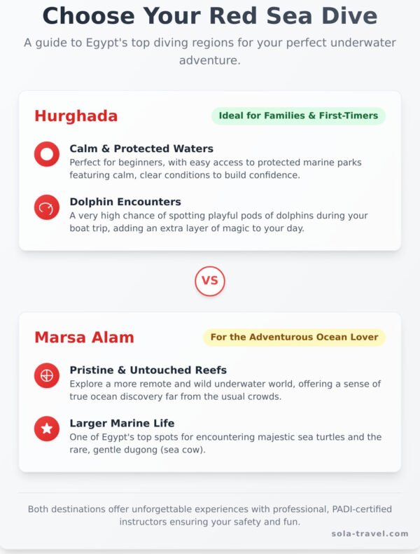 Plongée sous-marine : découvrez le monde caché de la mer Rouge - Sola ...